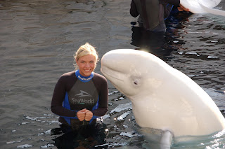 Kelly Seiberlich The 2009 National American Miss Arizona Jr Teen, kicks ...